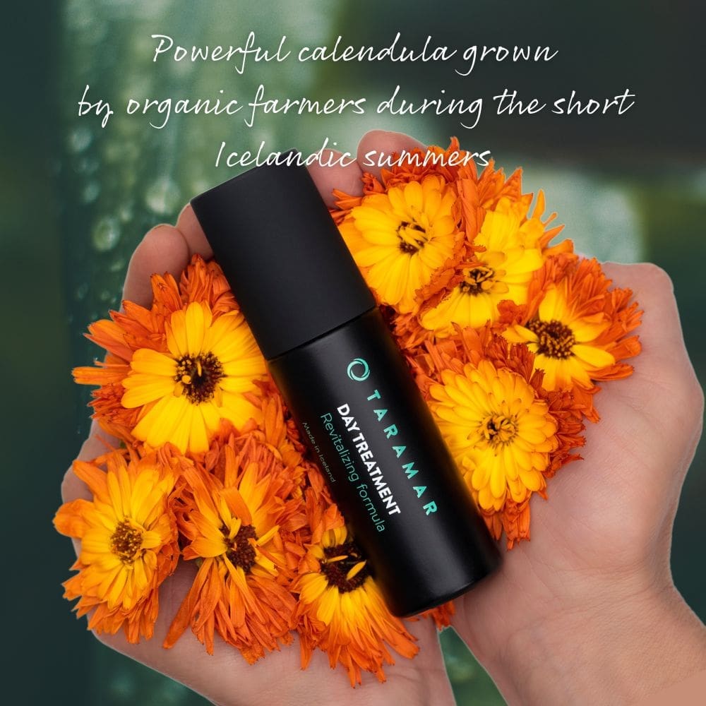 DAY TREATMENT | TARAMAR | Discover the purest NoTox skincare in Iceland